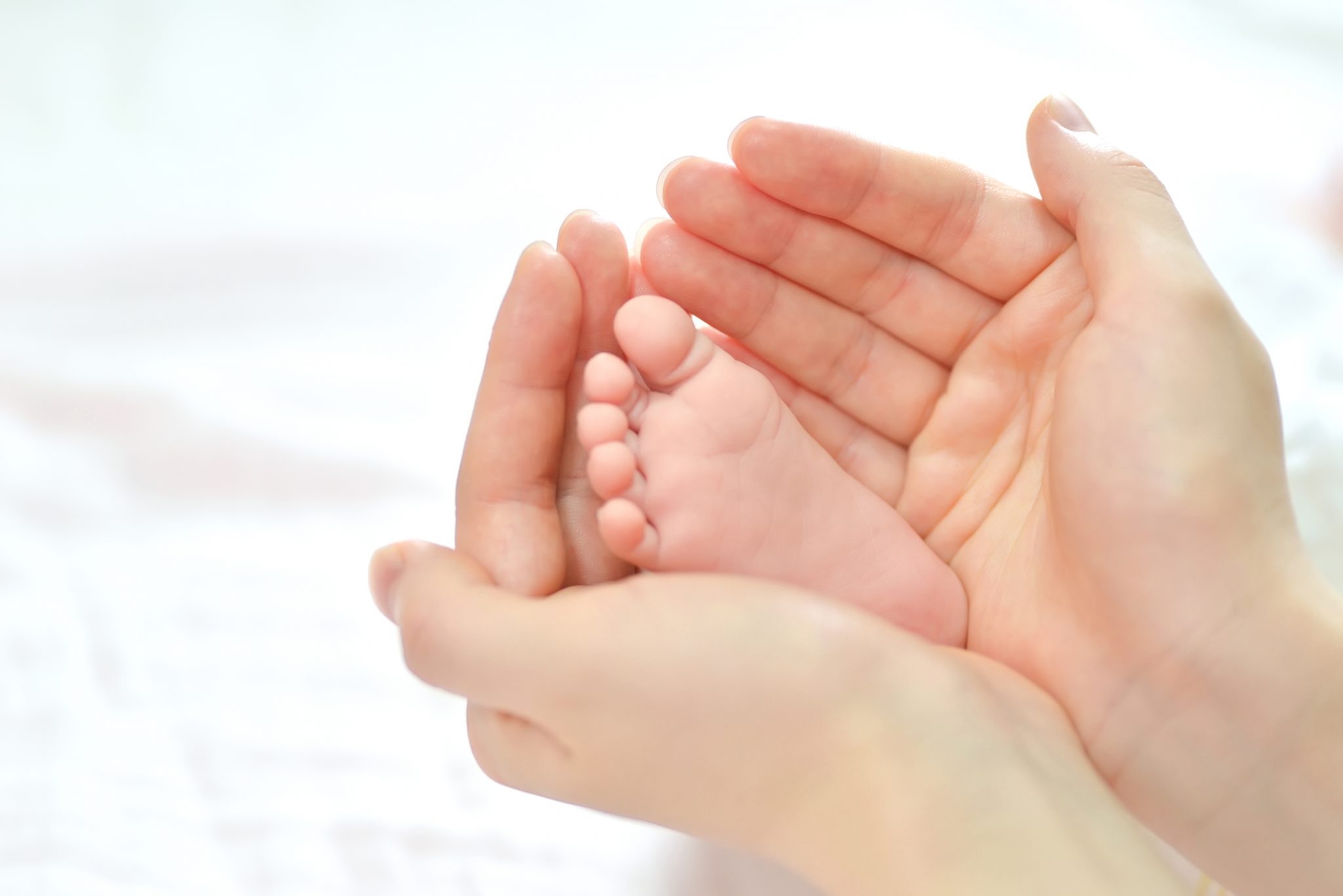 Maternity Leave Policy In India Zimyo maternity-leave-policy-in-india-zimyo